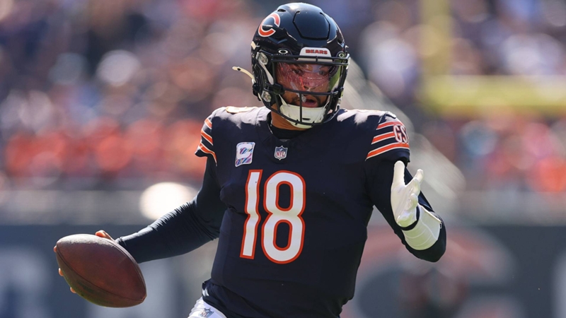 Bears Team