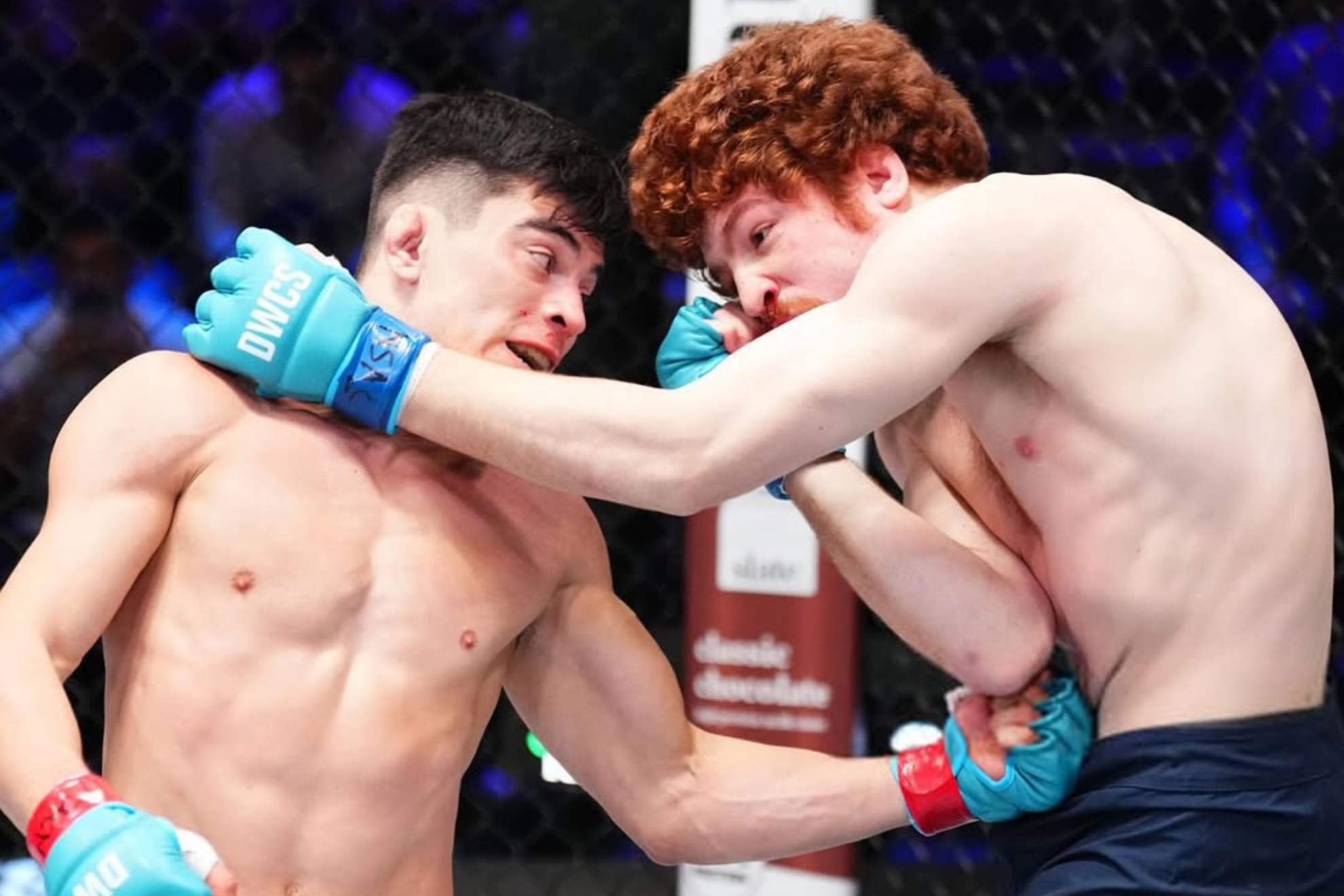 Seungwoo Choi vs Kevin Vallejos en vivo en UFC Vegas 104: cómo y dónde ...