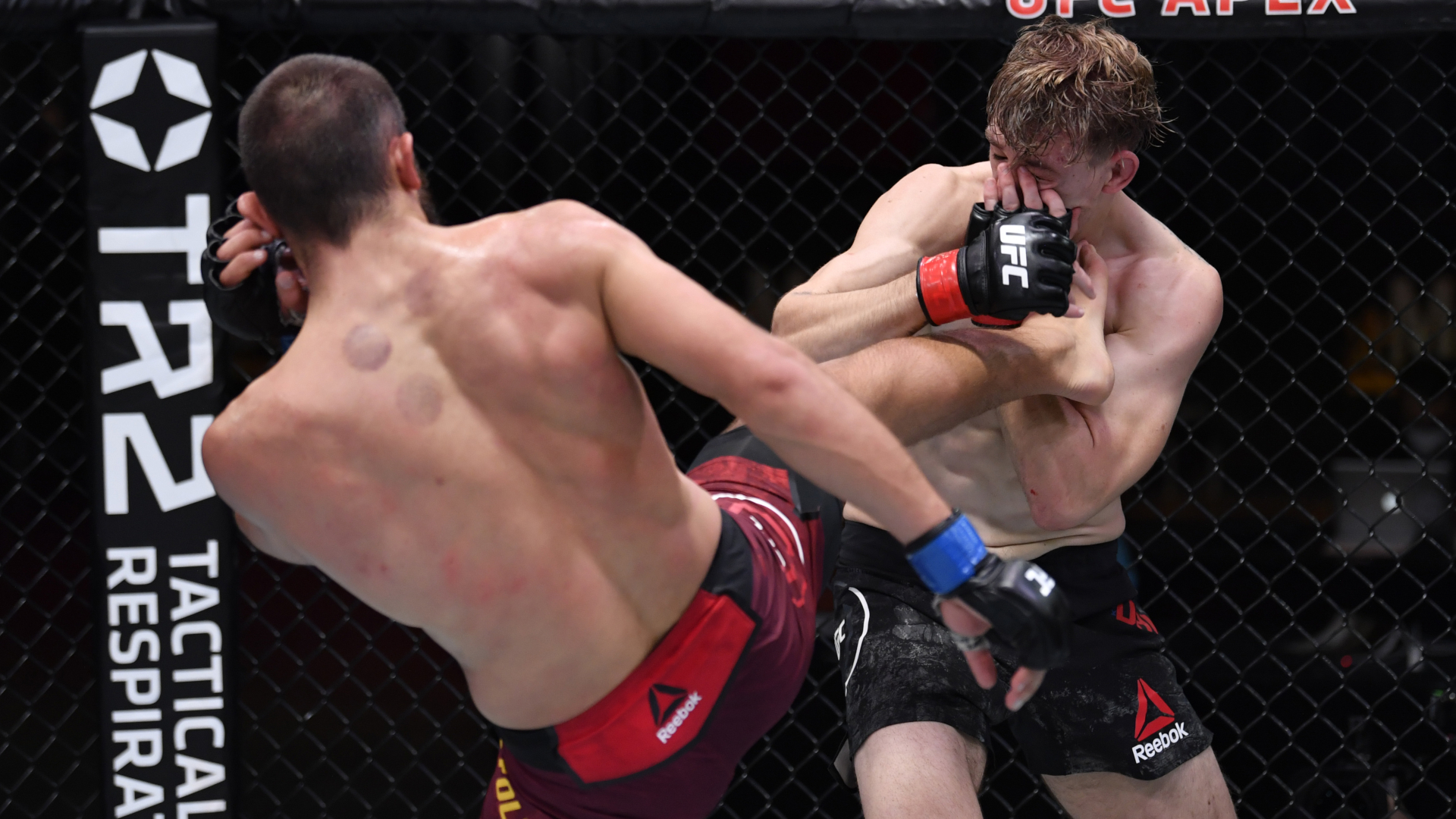 UFC Fight Night: Der Kampf von Dustin Stoltzfus im LIVE-STREAM auf DAZN ...