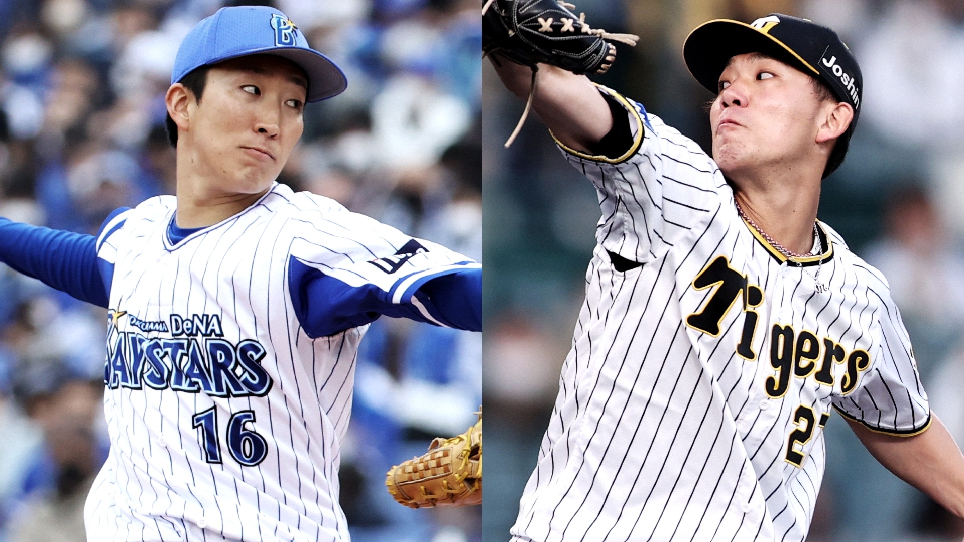 【10月9日｜CS第2戦】横浜DeNAベイスターズvs阪神タイガースの放送予定・日程・予告先発｜プロ野球 | DAZN News JP