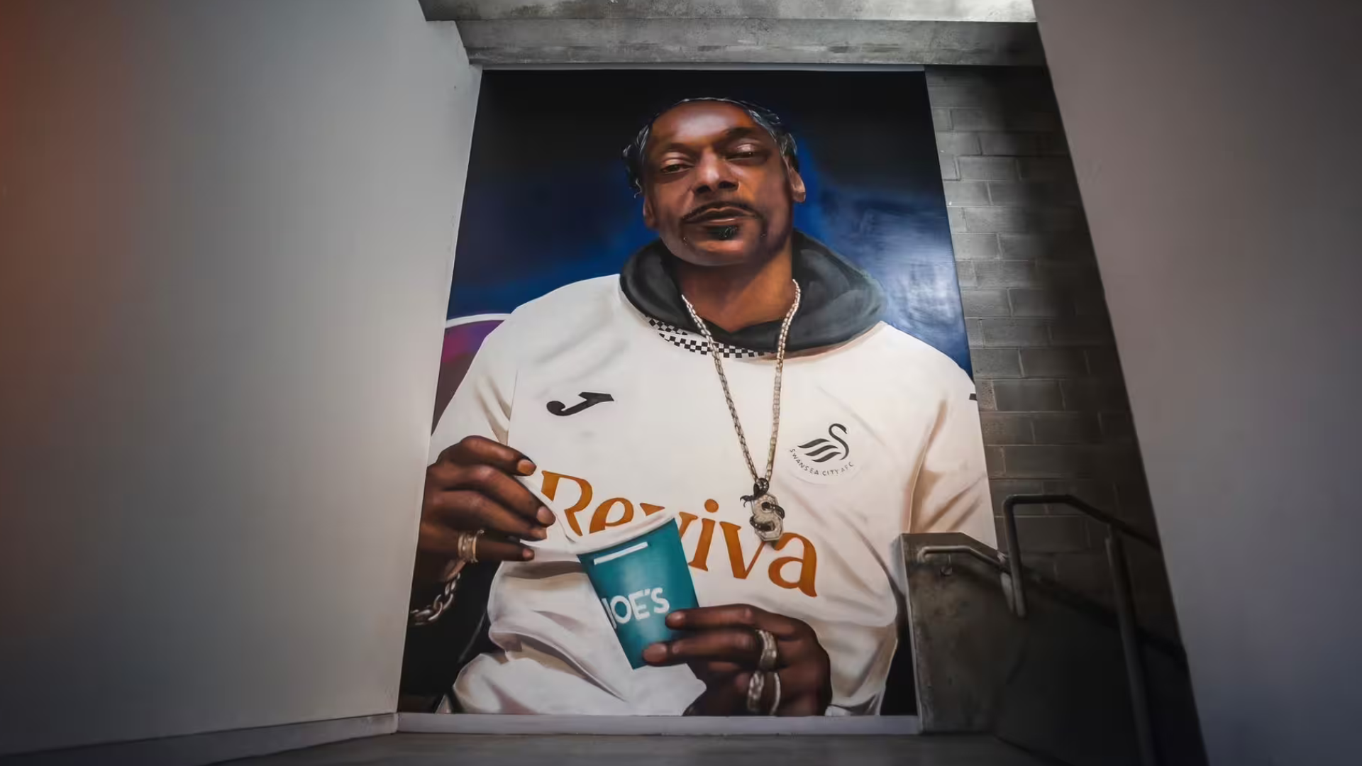 Former Premier League manager to Swansea co-owner Snoop Dogg: Leave the ...
