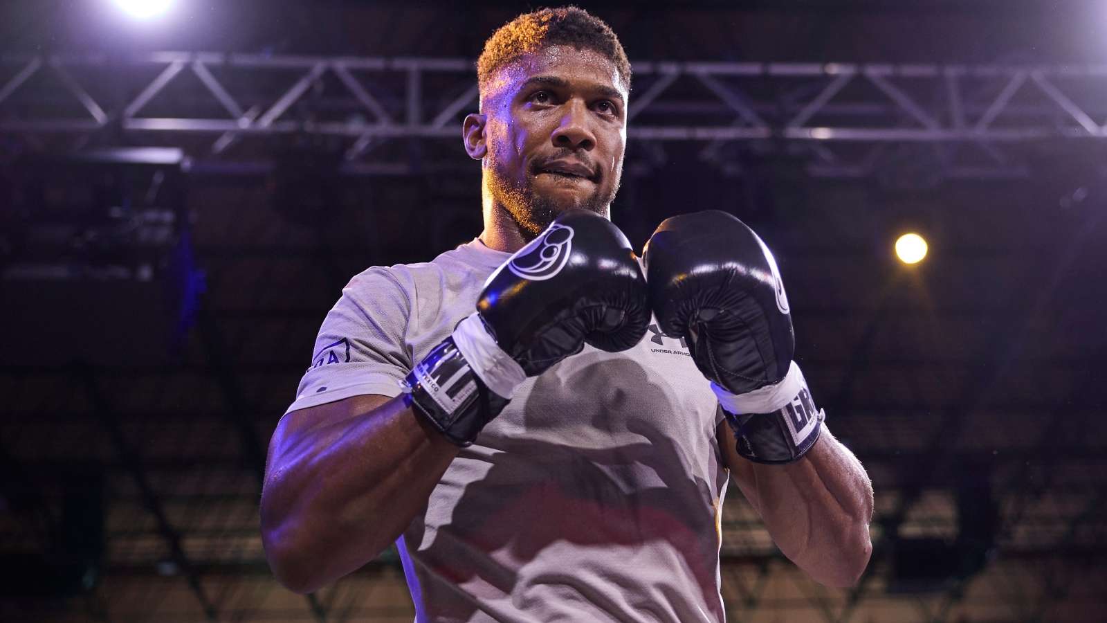 Anthony Joshua record: Career fight results, stats, titles, highlights ...