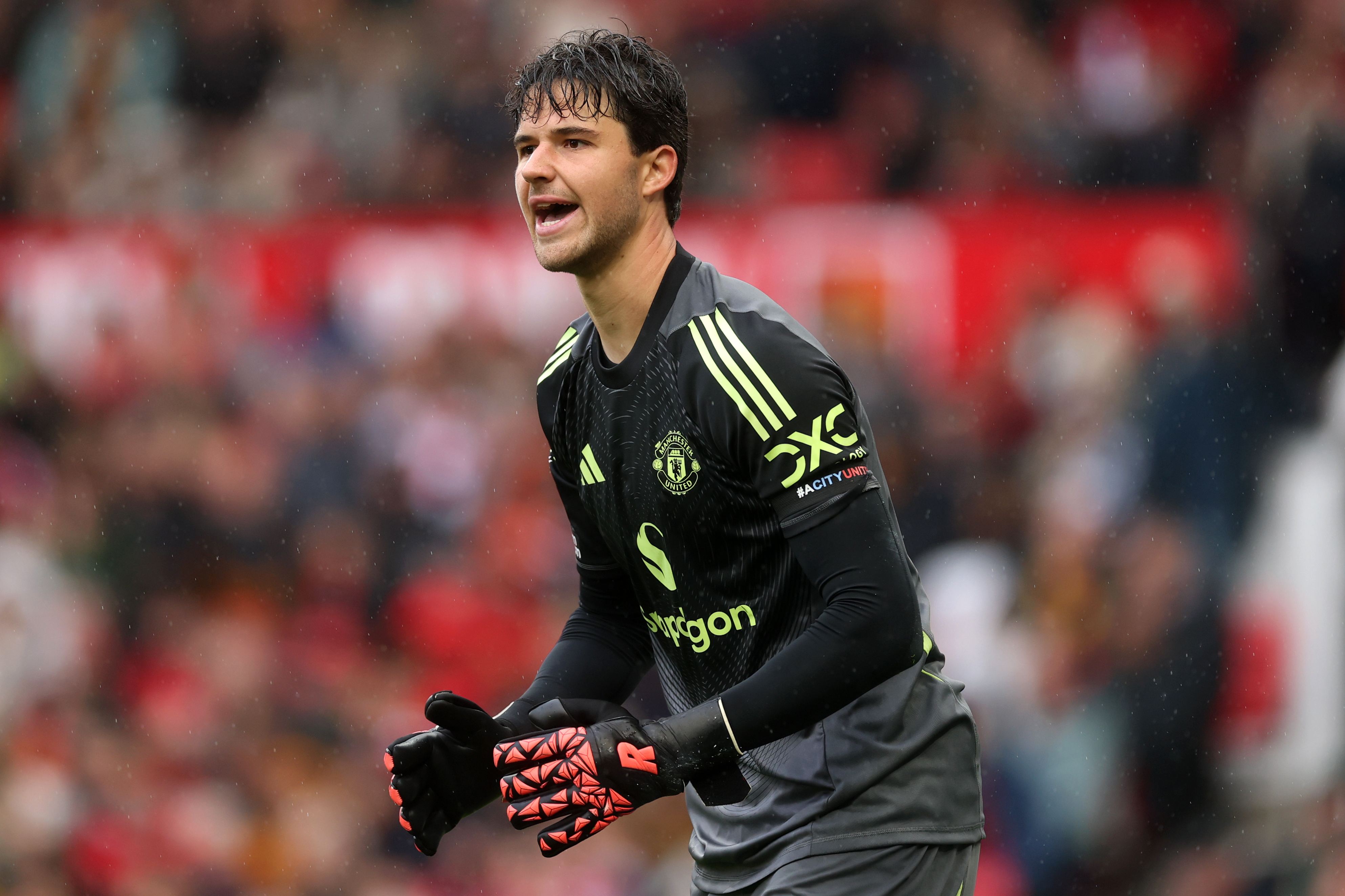 How Manchester United’s newest safe pair of hands could be key to ...