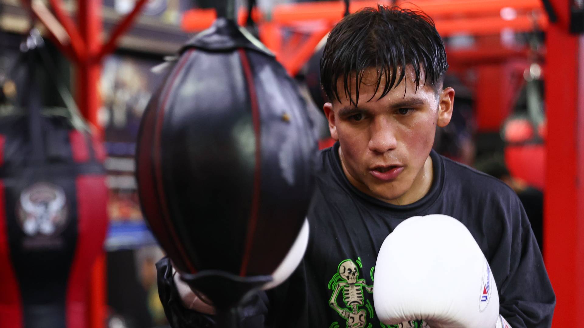 First look at Benavidez, Yarde, Haney and Rodriguez's form with Ring IV ...