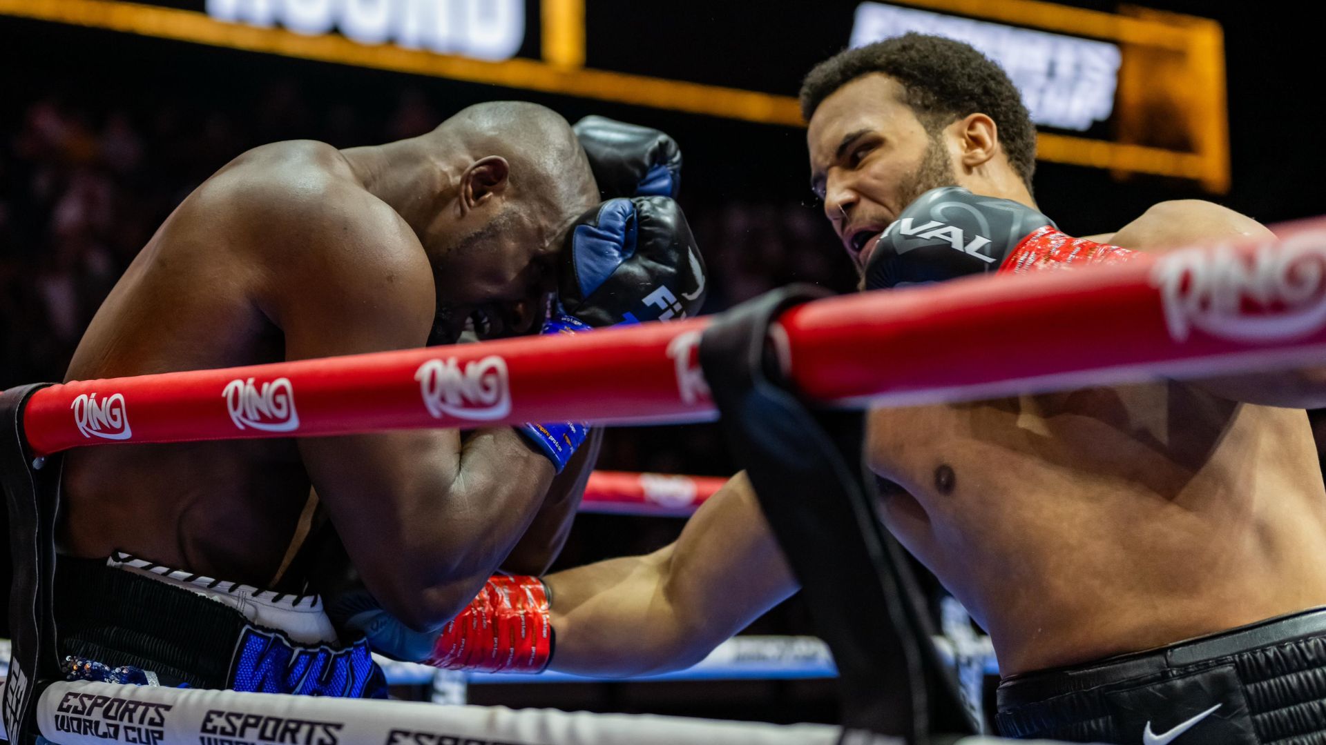 Boxe em Março na DAZN. Data, hora e como ver os combates | DAZN Notícias PT