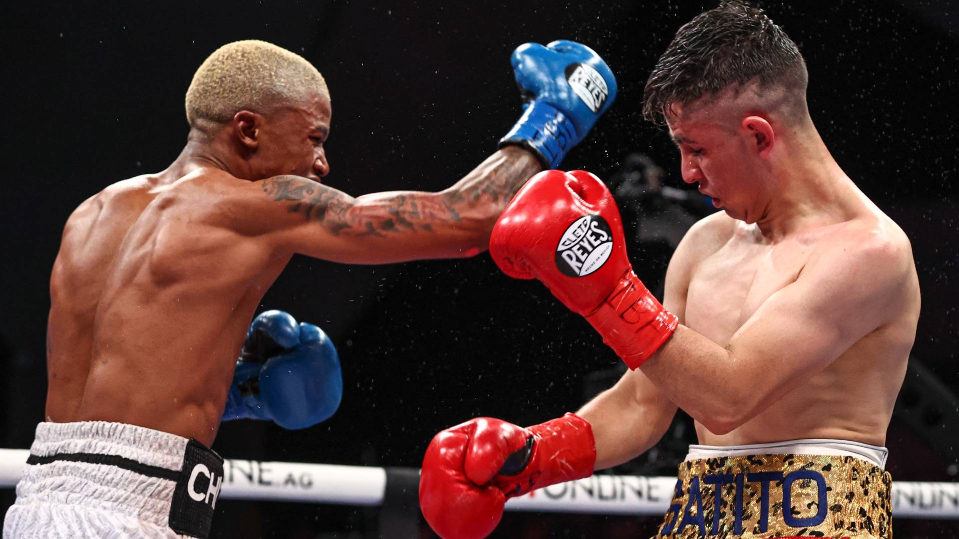 Who won the boxing last night? Adrian Curiel vs. Sivenathi Nontshinga 2 ...