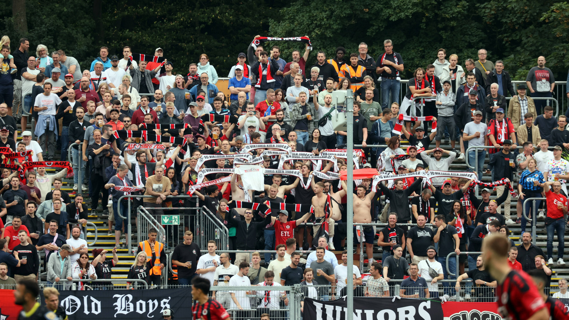 MSV Duisburg vs. Viktoria Köln: 3. Liga heute im TV und LIVE-STREAM ...