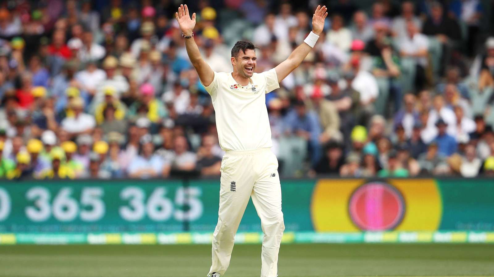 How many Ashes series have England won? When was their last Ashes ...