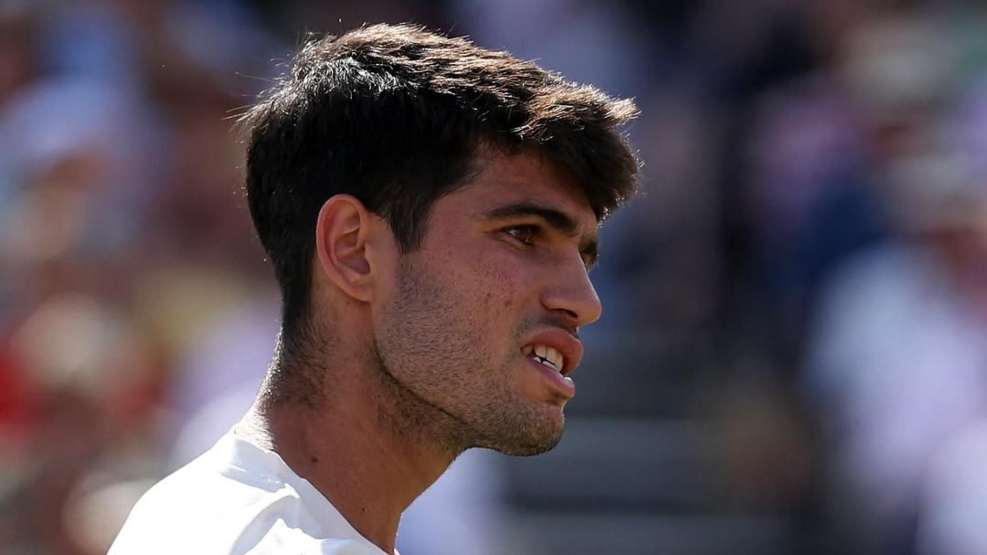 Carlos Alcaraz vs Roberto Bautista en Queen's 2025: cuándo es, fecha, a ...