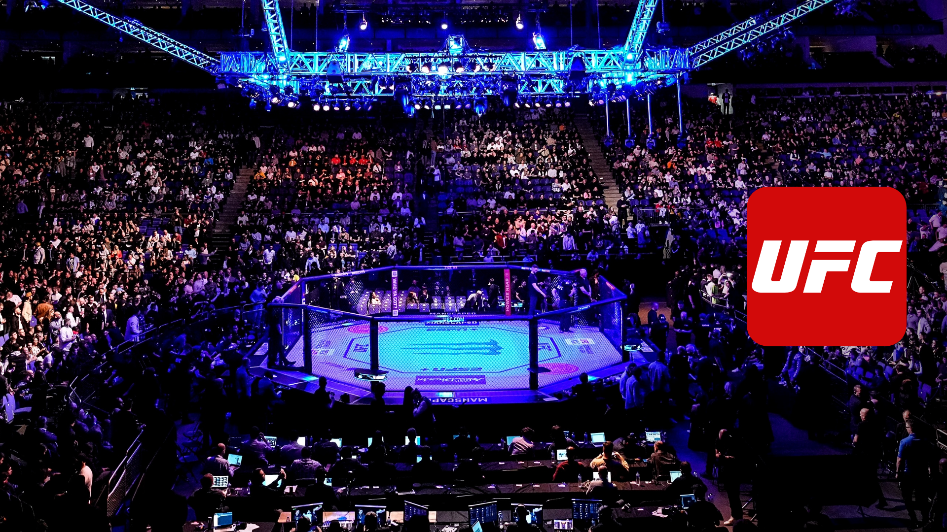 UFC live: Alle kommenden Kämpfe in der Übersicht | DAZN News DE