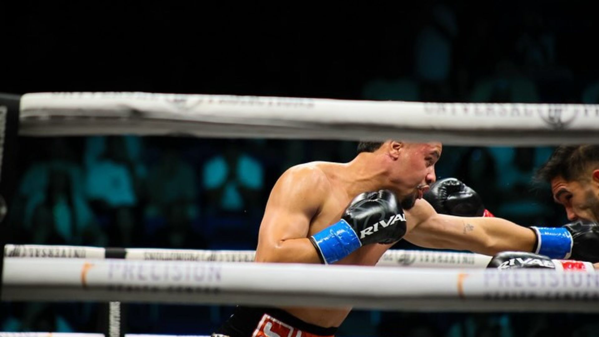 Cómo y dónde ver la pelea Jan Paul Rivera vs Daniel Bayley en Estados ...
