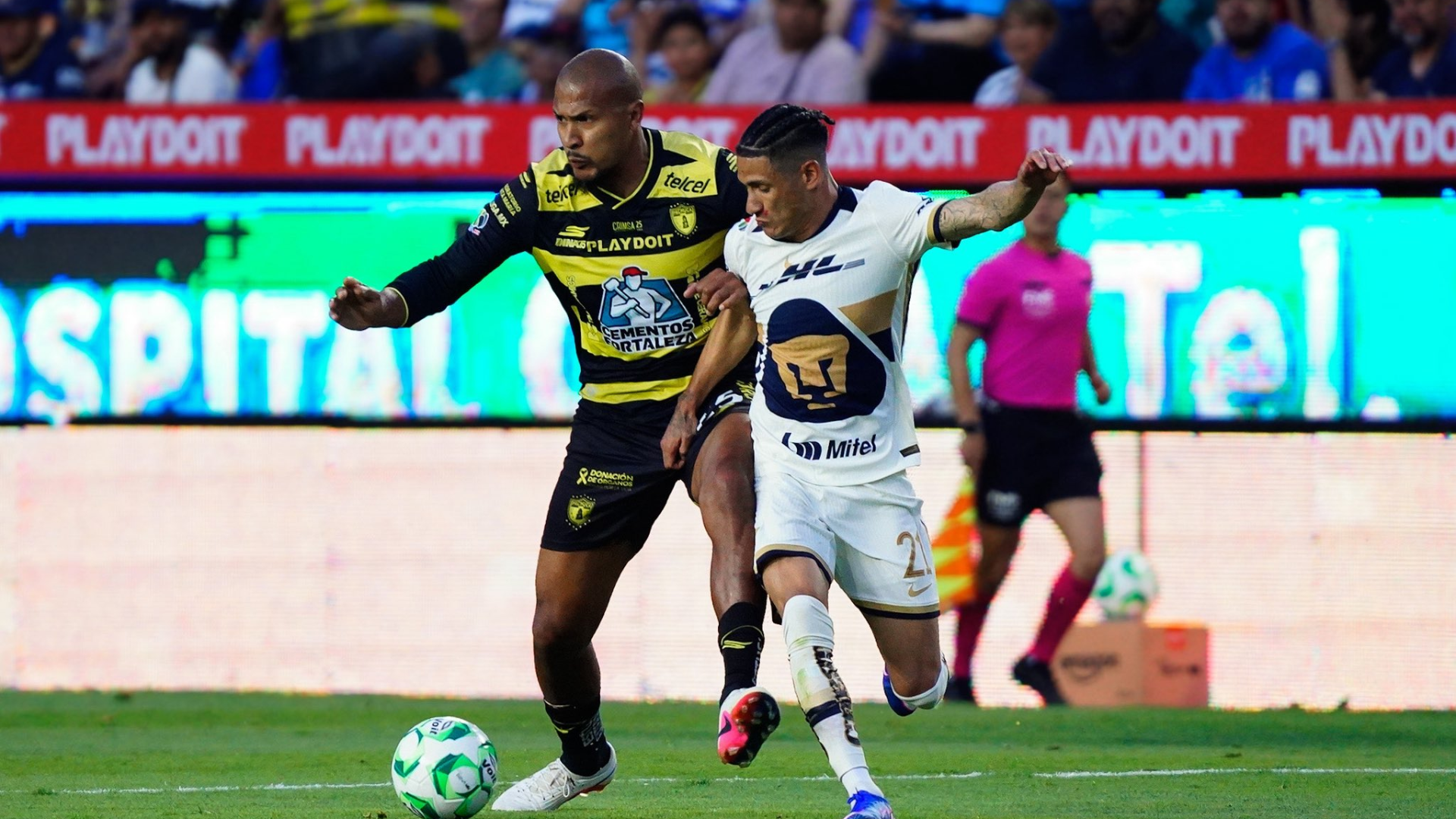 Cómo ver Pumas UNAM vs Pachuca en vivo hoy: horario y dónde ver las ...