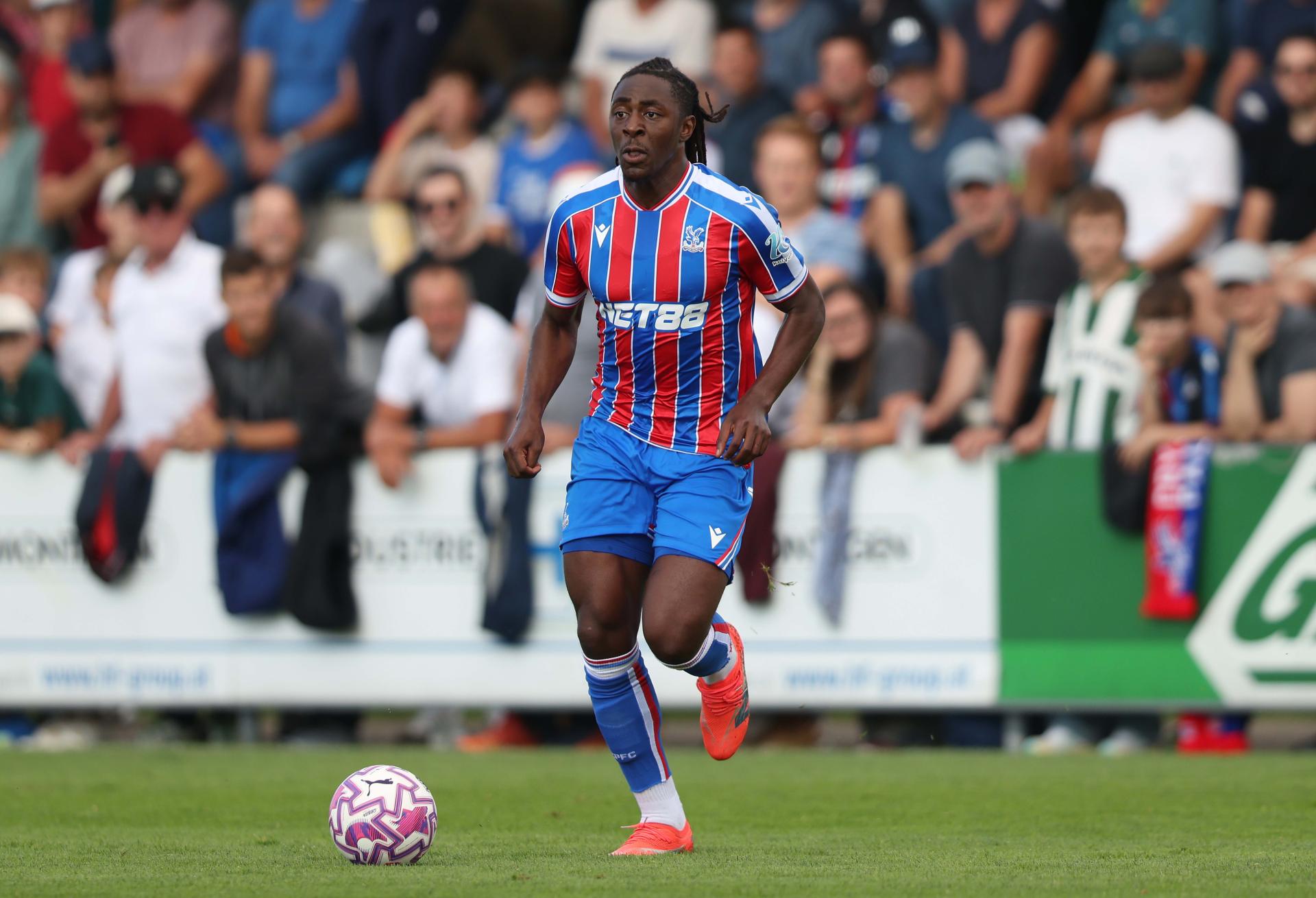 Gus Poyet warns Tottenham to only target Ebere Eze if he fits into new ...