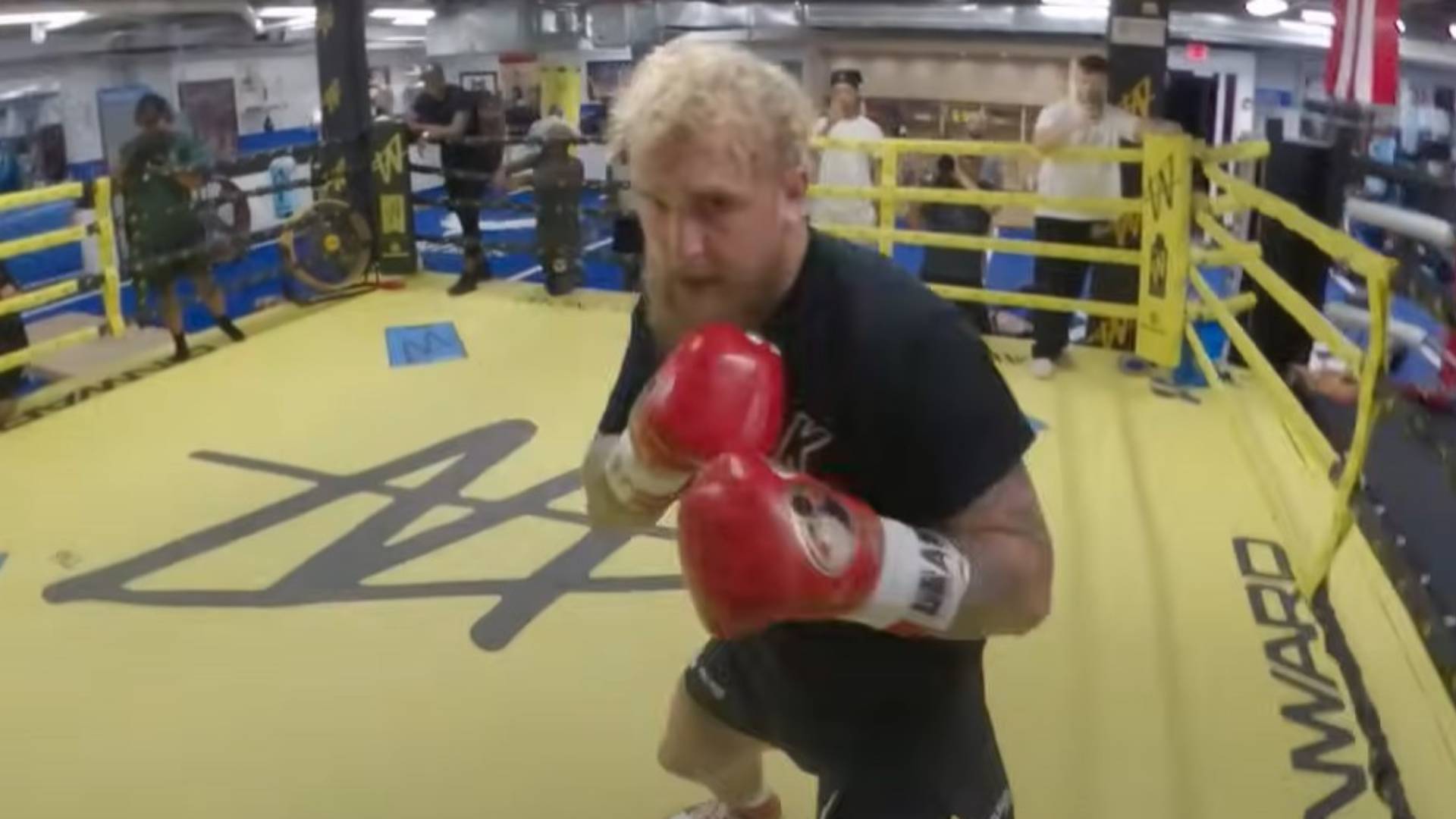 Jake Paul names the two world champions he is currently speaking with ahead of major Julio Cesar ...