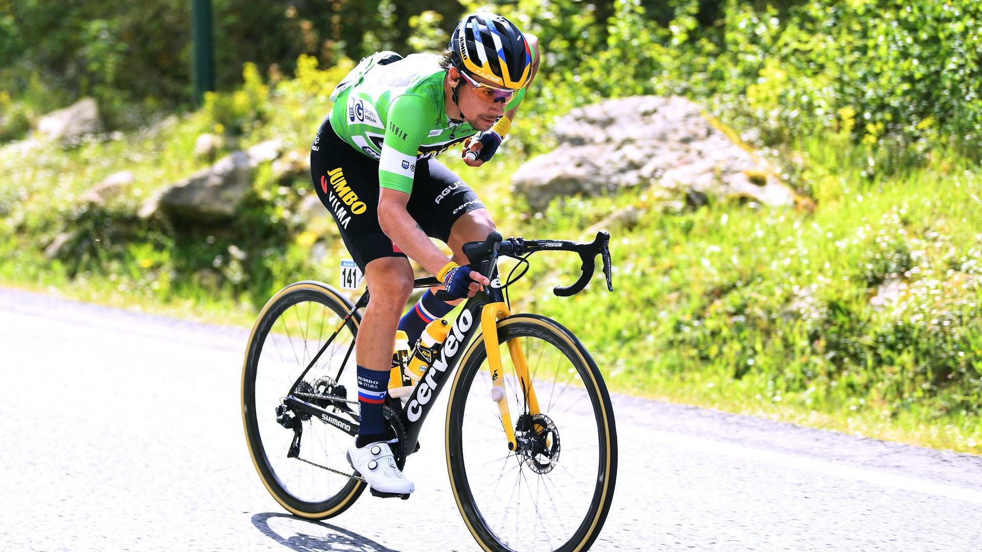 Folgen der Sturzverletzungen: Roglic steigt aus Tour aus | DAZN News DE