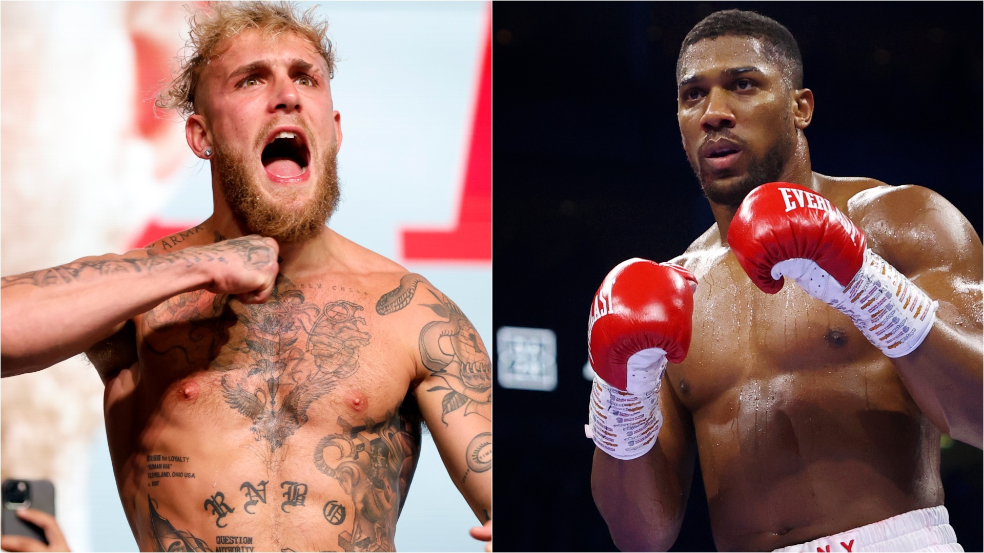 I am a current world champion. I respect Jake Paul massively. Here is ...