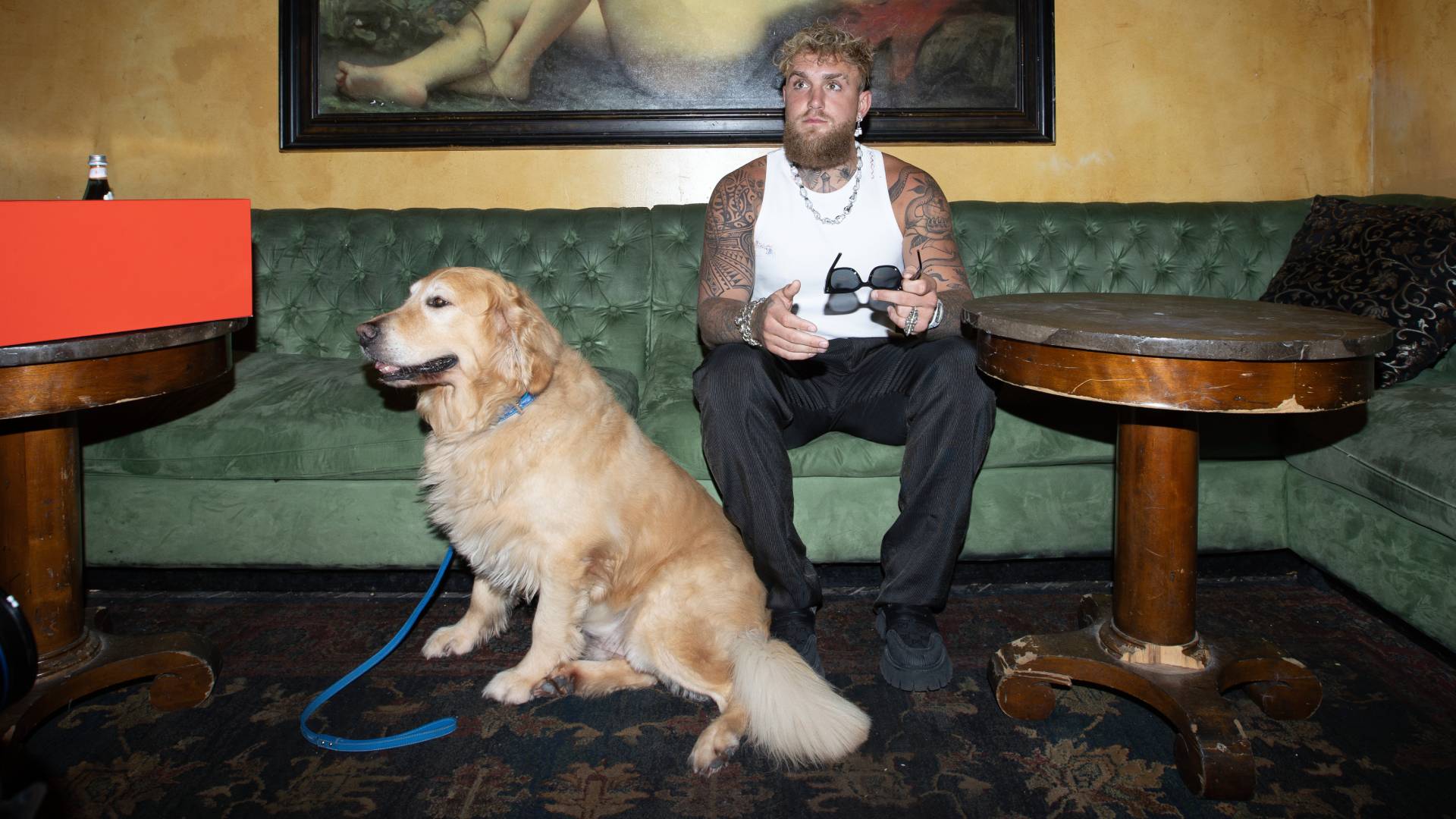 Jake Paul has claimed to be the ‘King of Boxing’, I can see why | DAZN ...