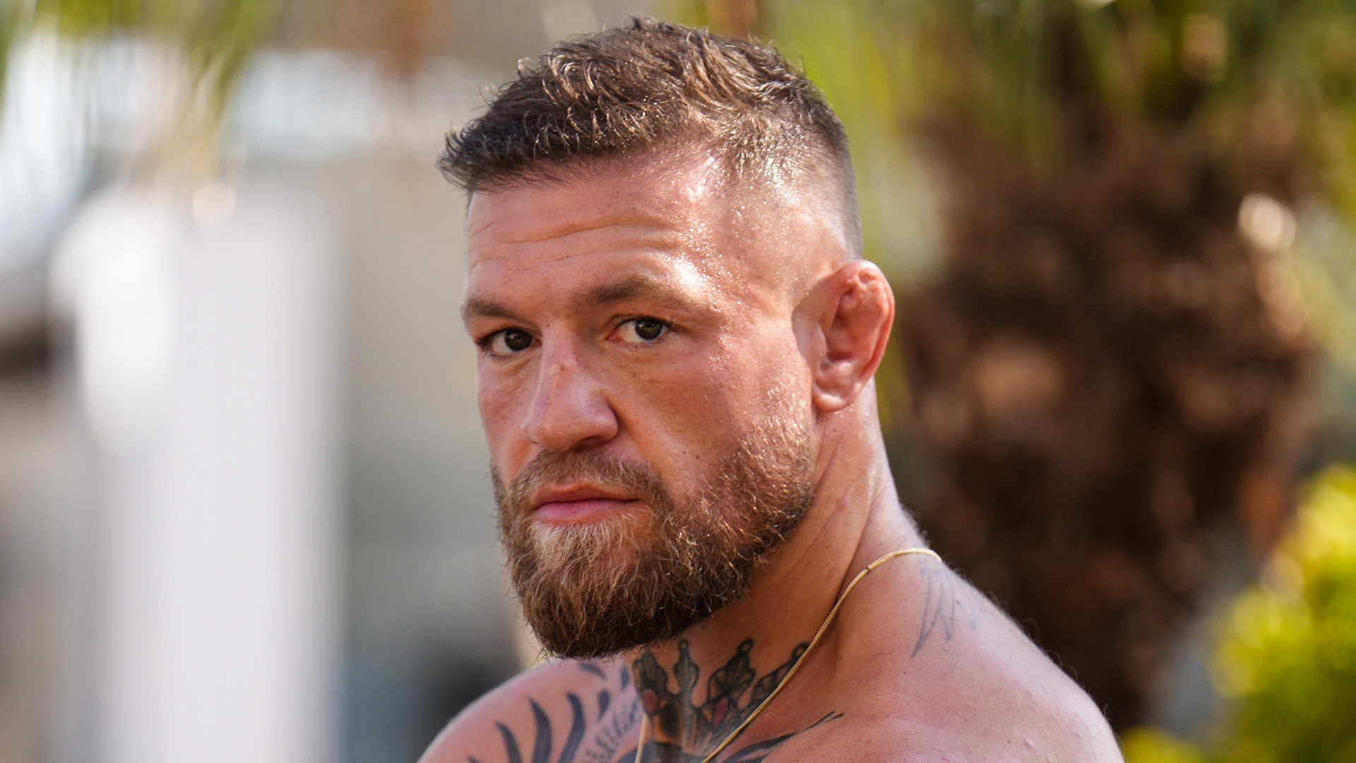Livestream McGregor Vs Holloway So Wird UFC 329 bertragen DAZN Livestream McGregor Vs Holloway So Wird UFC 329 bertragen DAZN