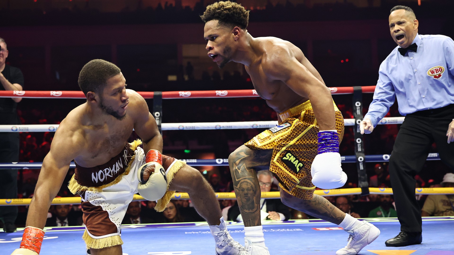 Devin Haney brilliant in defeating Brian Norman Jr. and becoming new ...