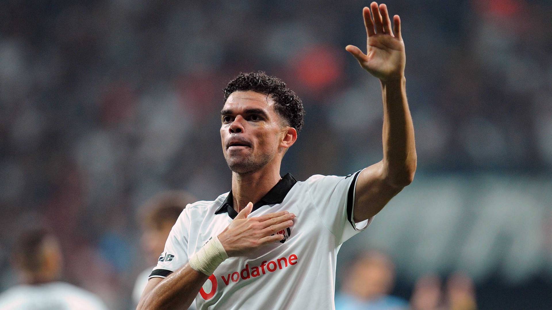 Pepe set for return to Porto after Besiktas release | Sporting News Canada