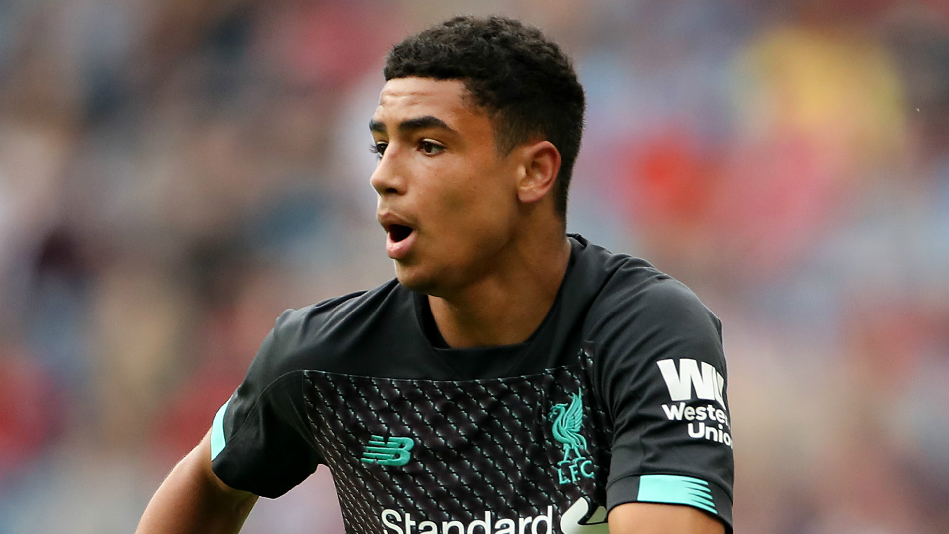 Wolves wrap up £10m deal with Liverpool for Hoever | Sporting News Canada