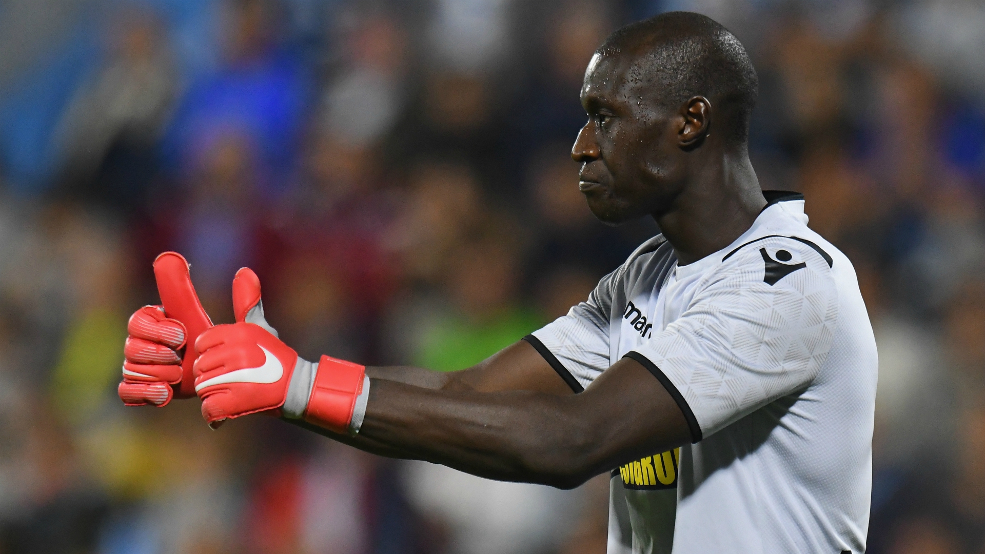 Alfred Gomis: Rennes replace Edouard Mendy with Dijon’s Senegalese ...