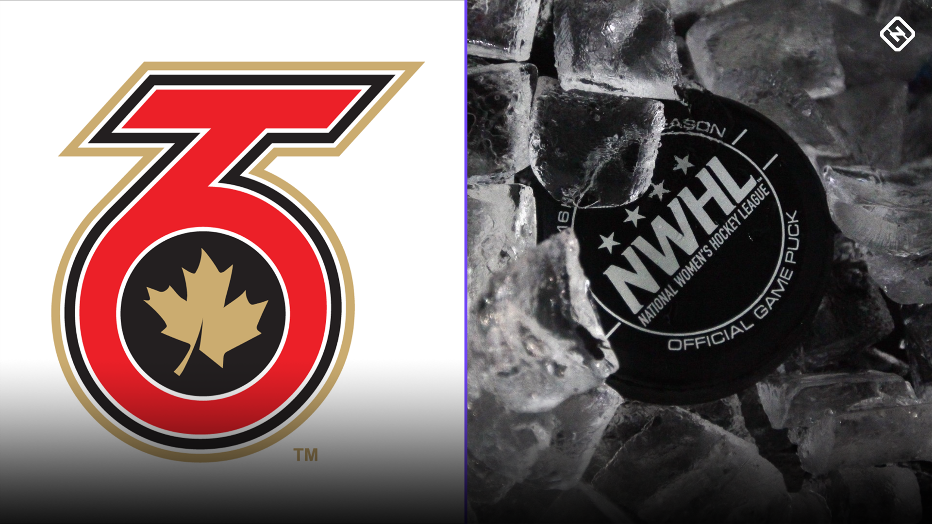 NWHL Unveilings - Sports Logo News - Chris Creamer's Sports Logos ...