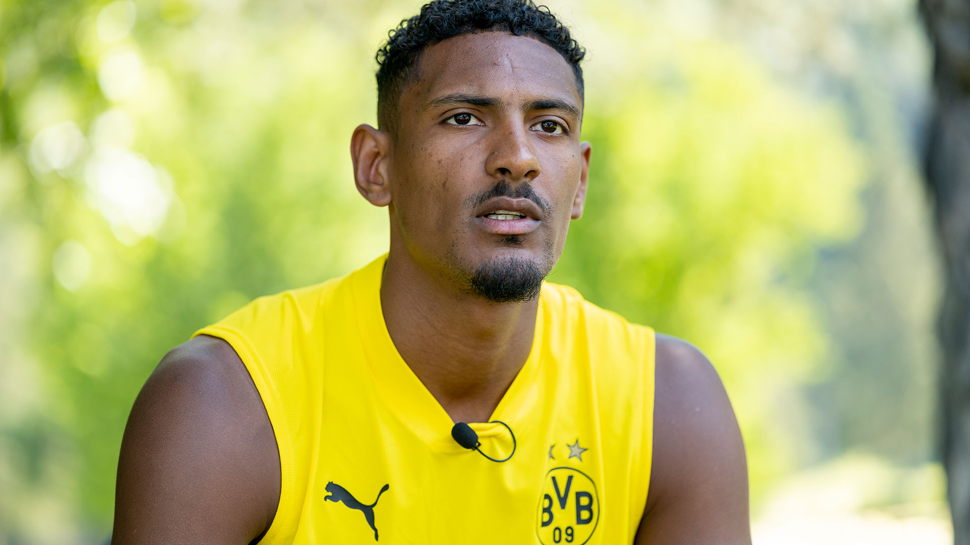 Haller erreicht nächsten Meilenstein: Stürmer nimmt an BVB ...