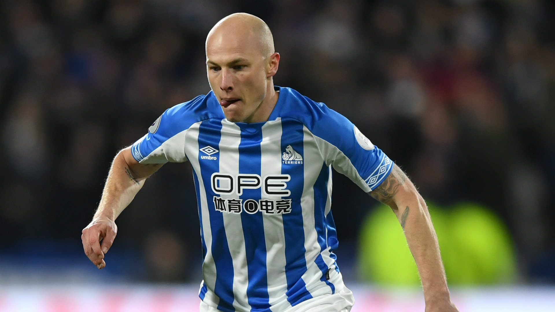 Premier League: Brighton and Hove Albion sign Aaron Mooy on loan from ...
