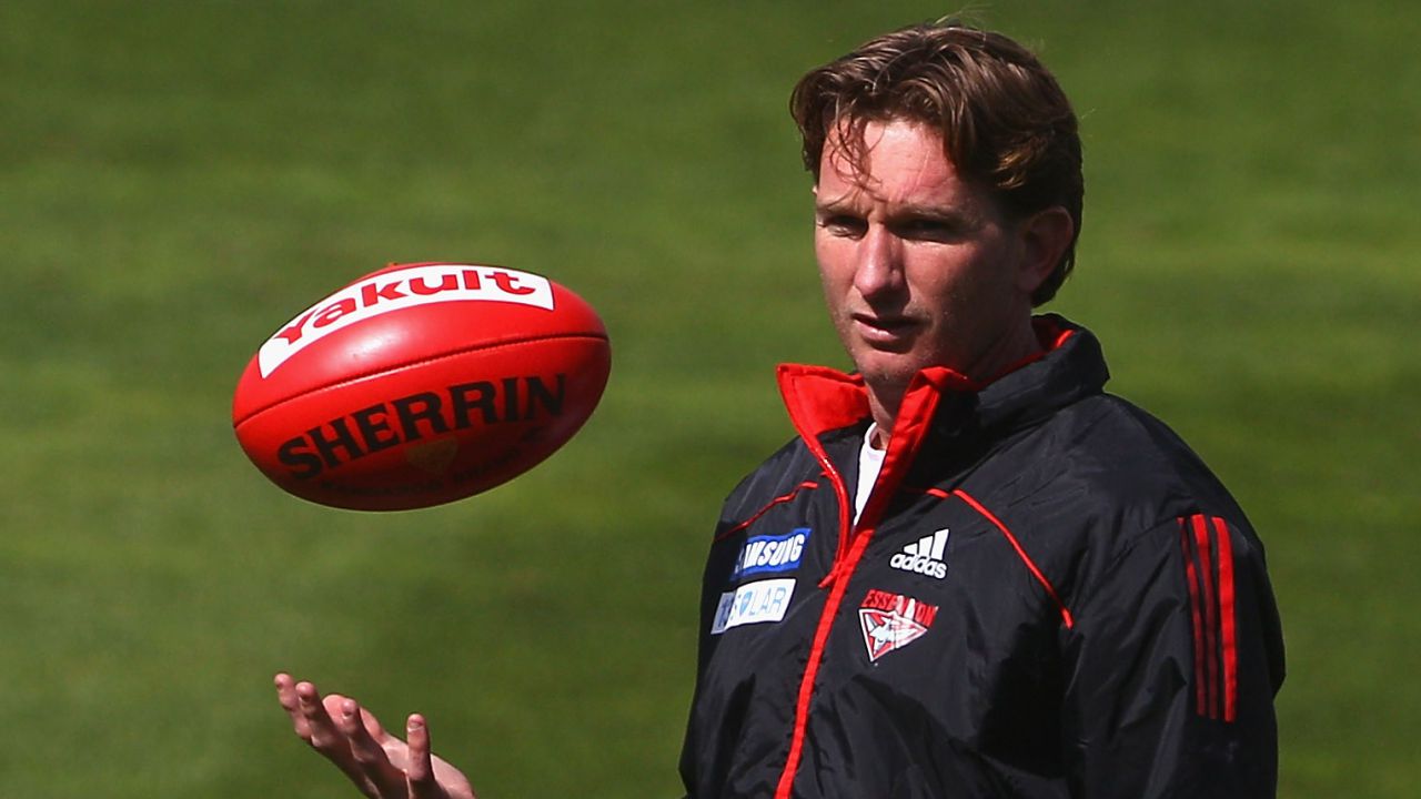 Lawyer: Hird bullied by AFL | Sporting News Australia