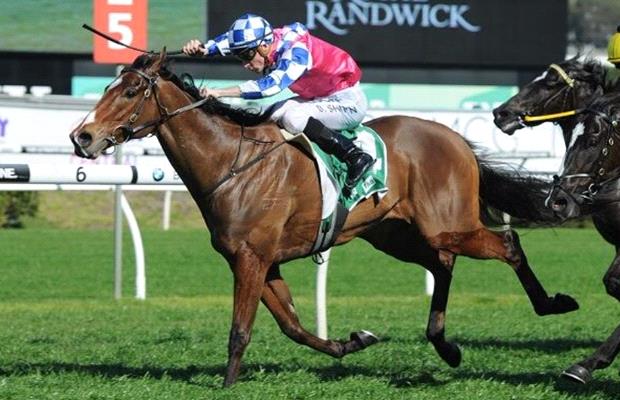 Dale hoping for a Zac attack in the Doomben 10,000 | Sporting News ...