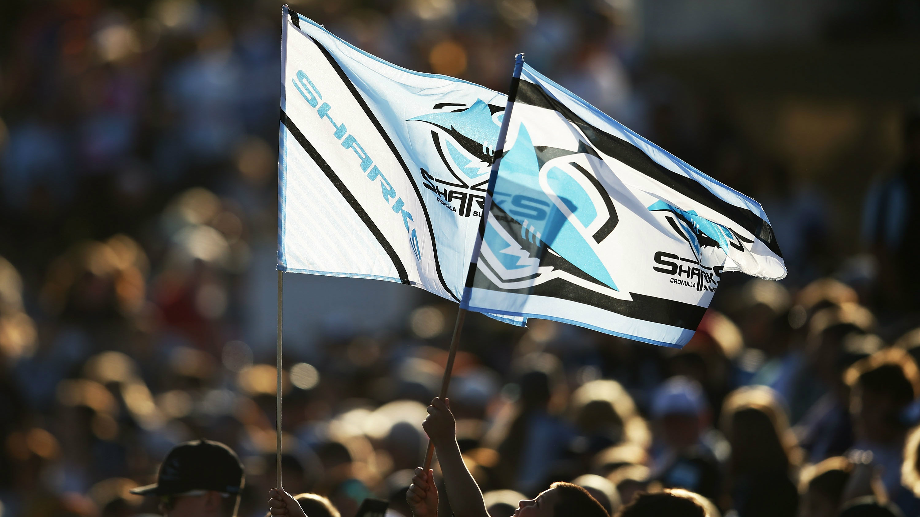 The story guaranteed to make Sharks fans cry | Sporting News Australia