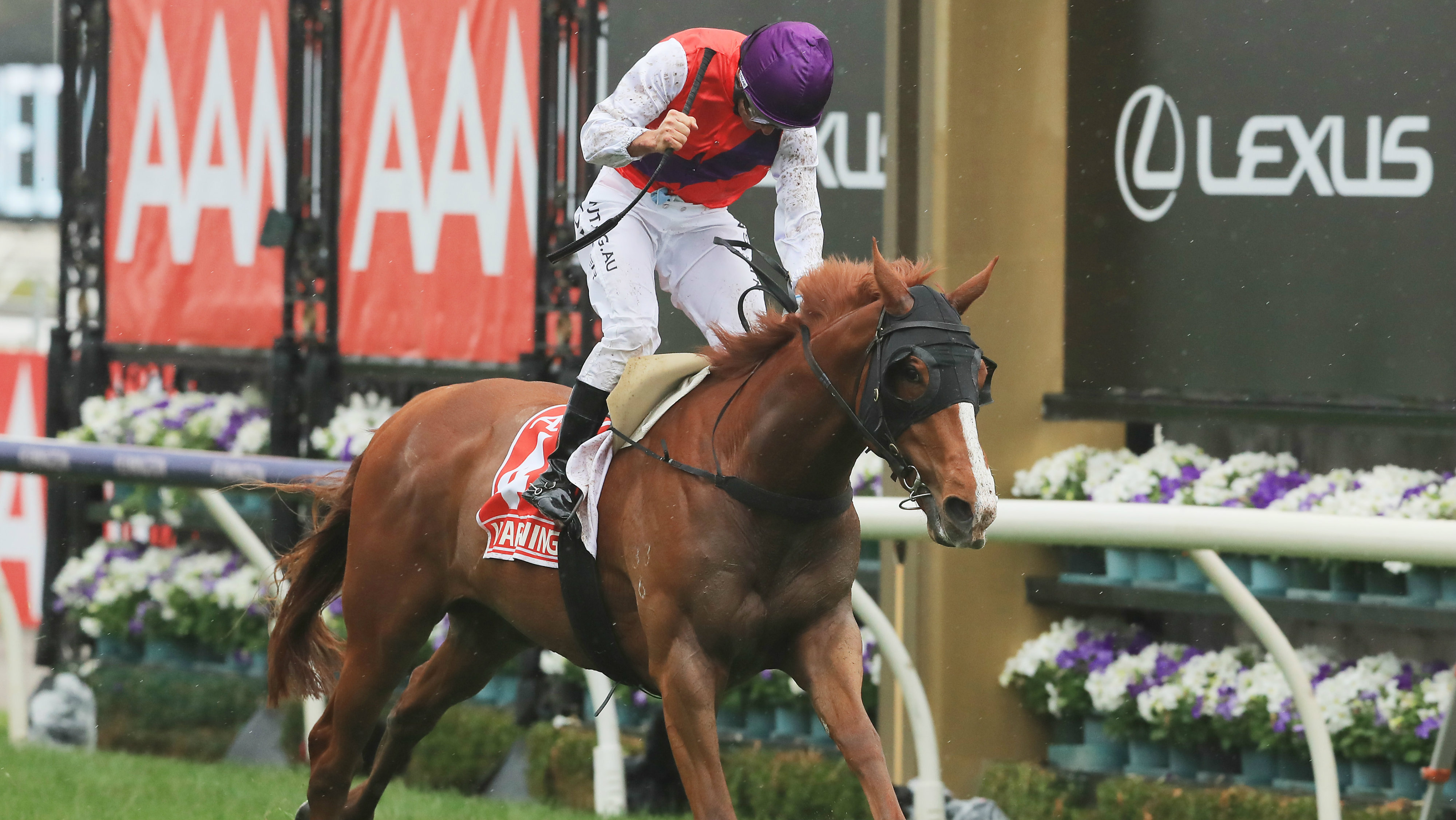 Derby Day: Warning holds on to claim Victoria Derby | Sporting News ...