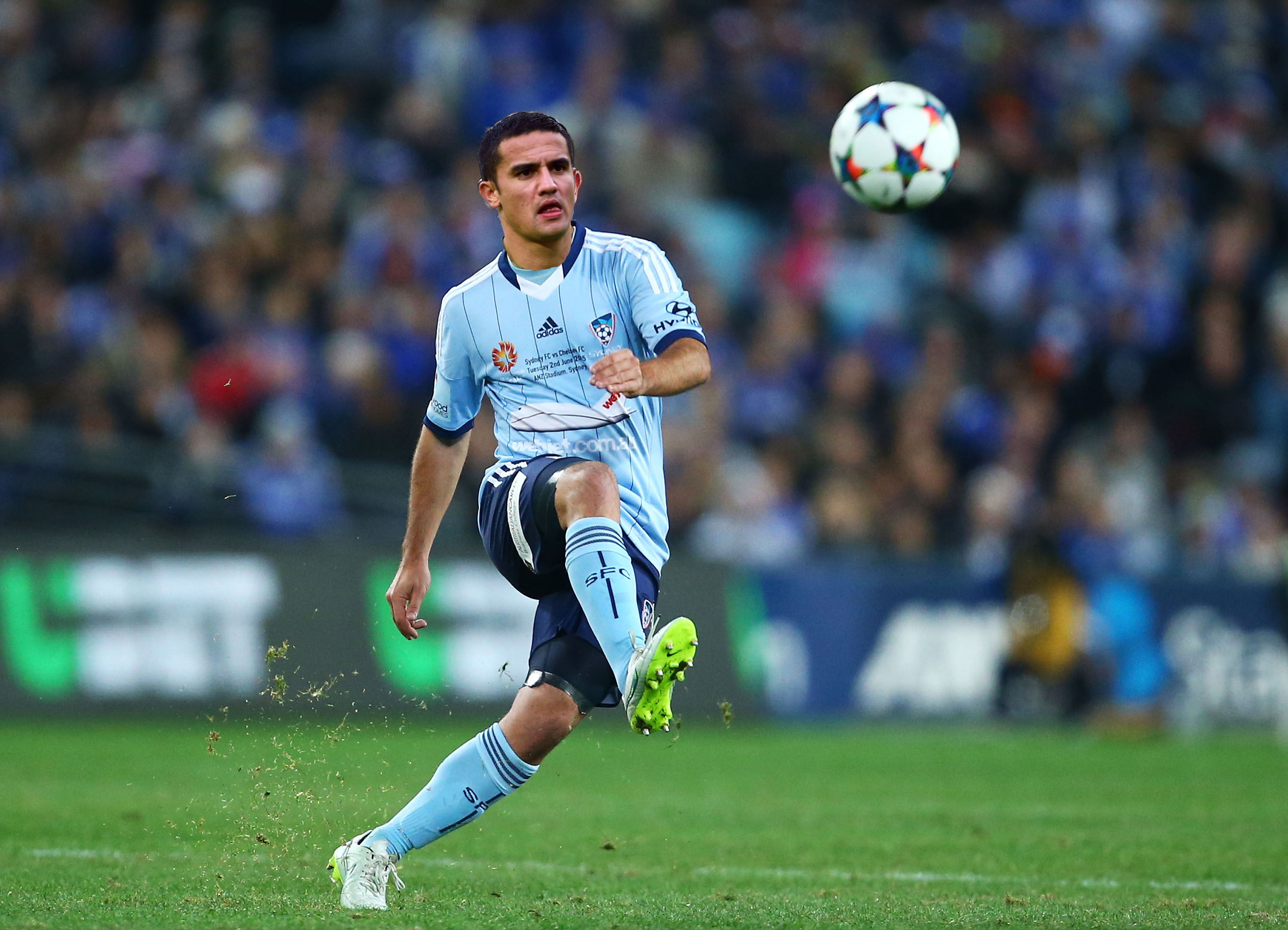 Tim Cahill in A-League frame after Shanghai changes | Sporting News ...