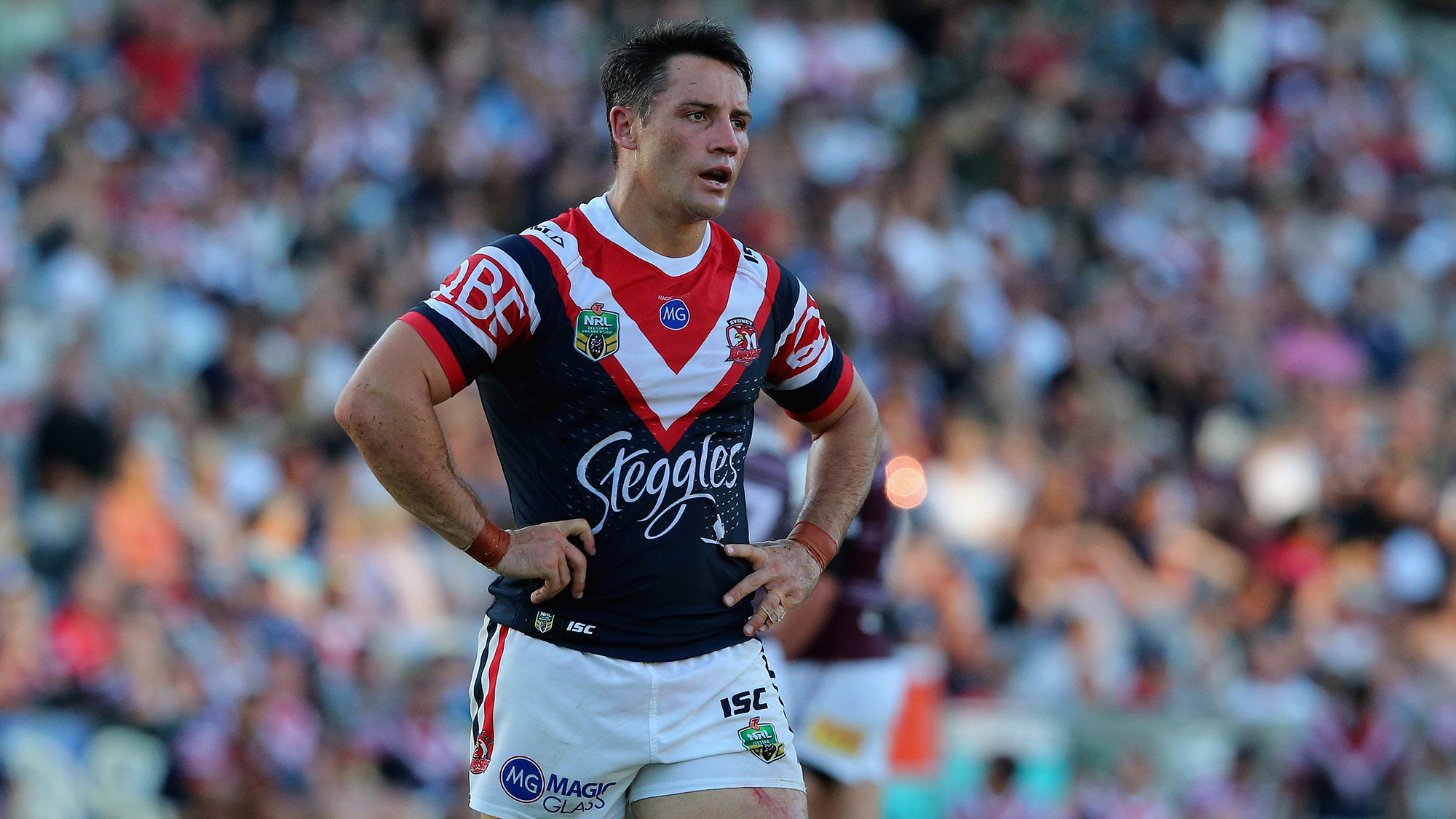 Cooper Cronk stung by jellyfish before Sydney Roosters debut | Sporting ...
