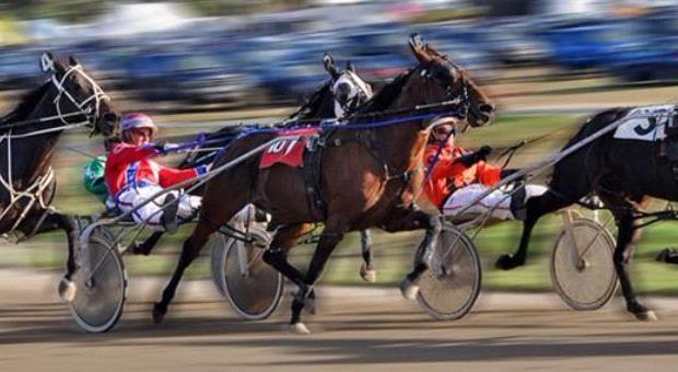 Harness Racing Australia bans use of whips | Sporting News Australia