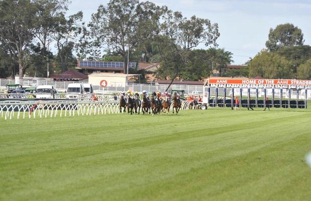 Raceday coverage starts here - Eagle Farm, Saturday December 3 ...