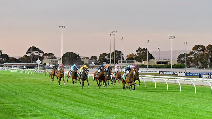 Female jockey dies in fall at Cranbourne racecourse | Sporting News ...