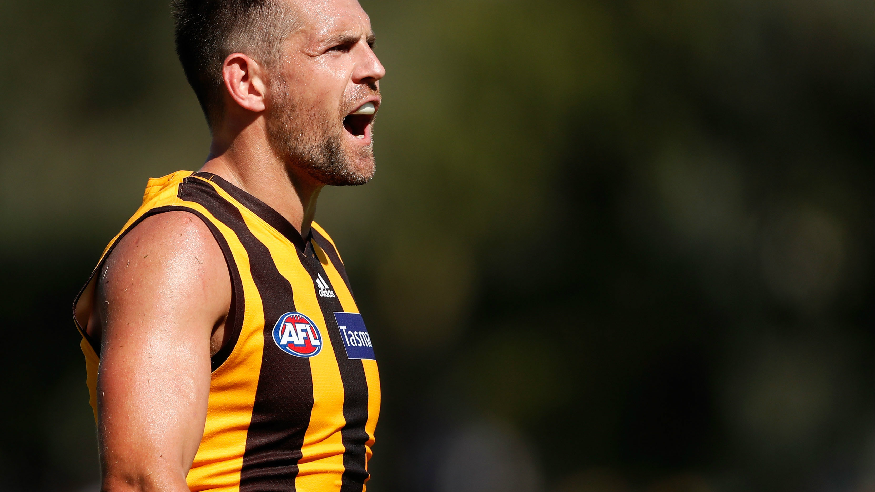 Lions looking at longer deal for Luke Hodge | Sporting News Australia