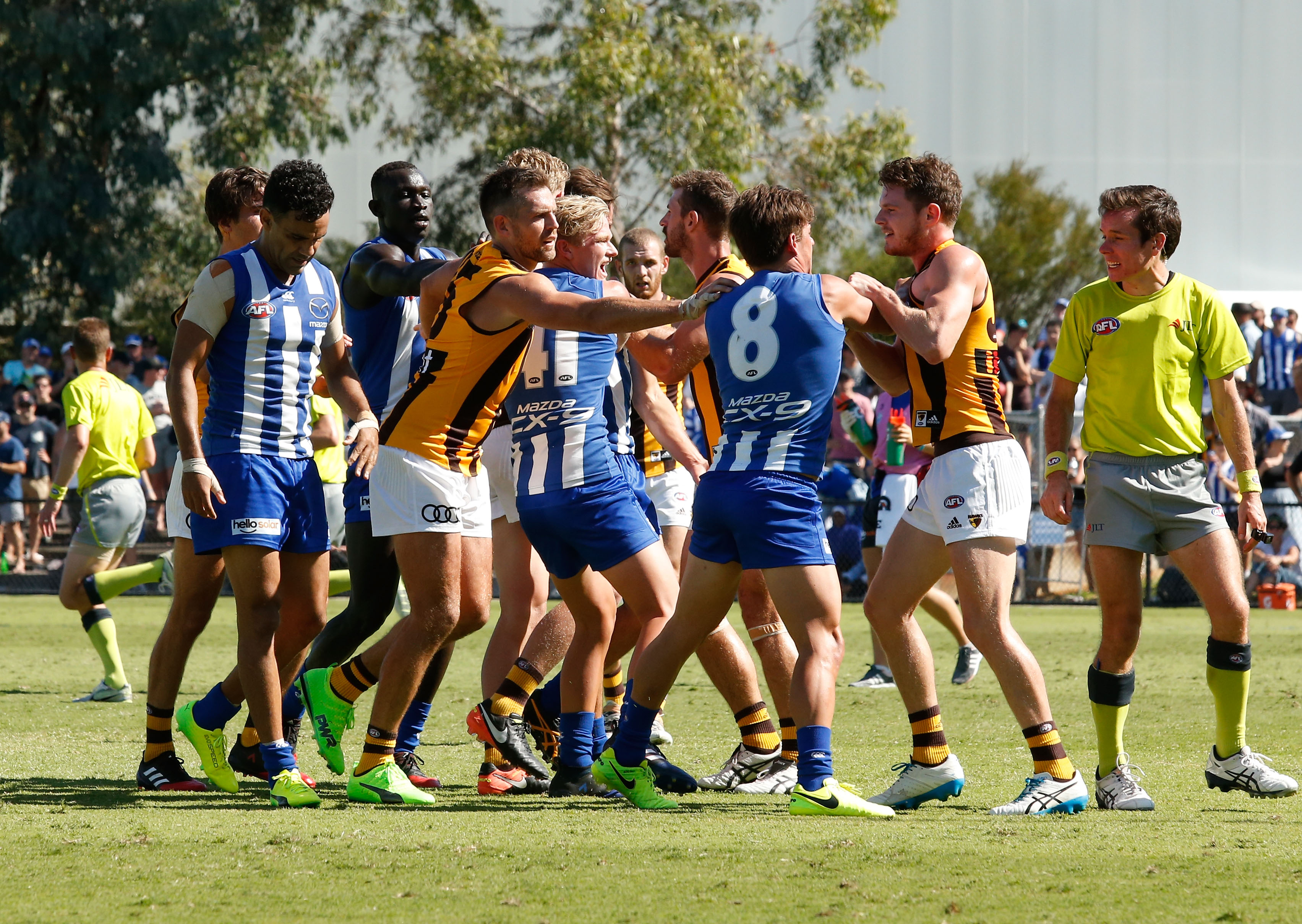 WATCH: Kangaroos coach happy with intra-club aggression | Sporting News ...