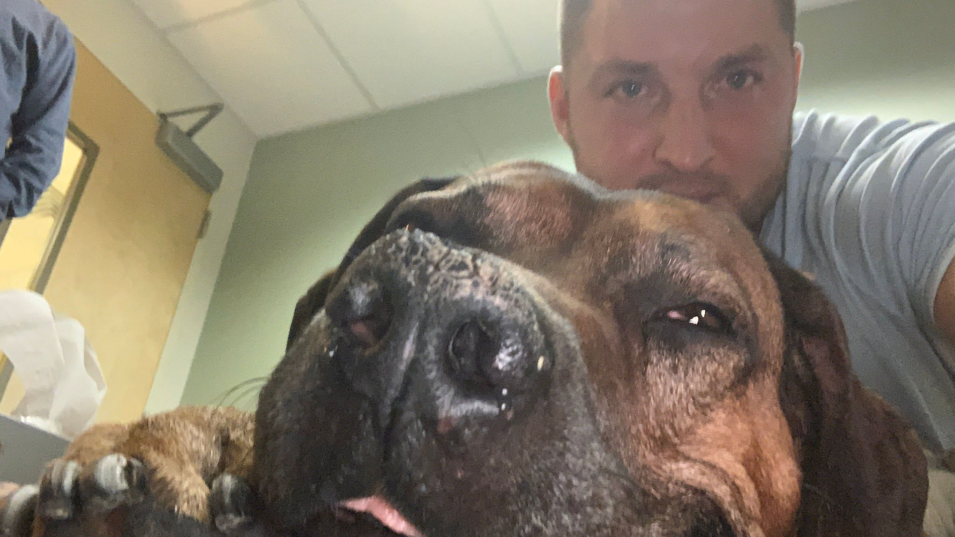Tim Tebow shares touching tribute to Bronco, 'one of the best dogs ever ...