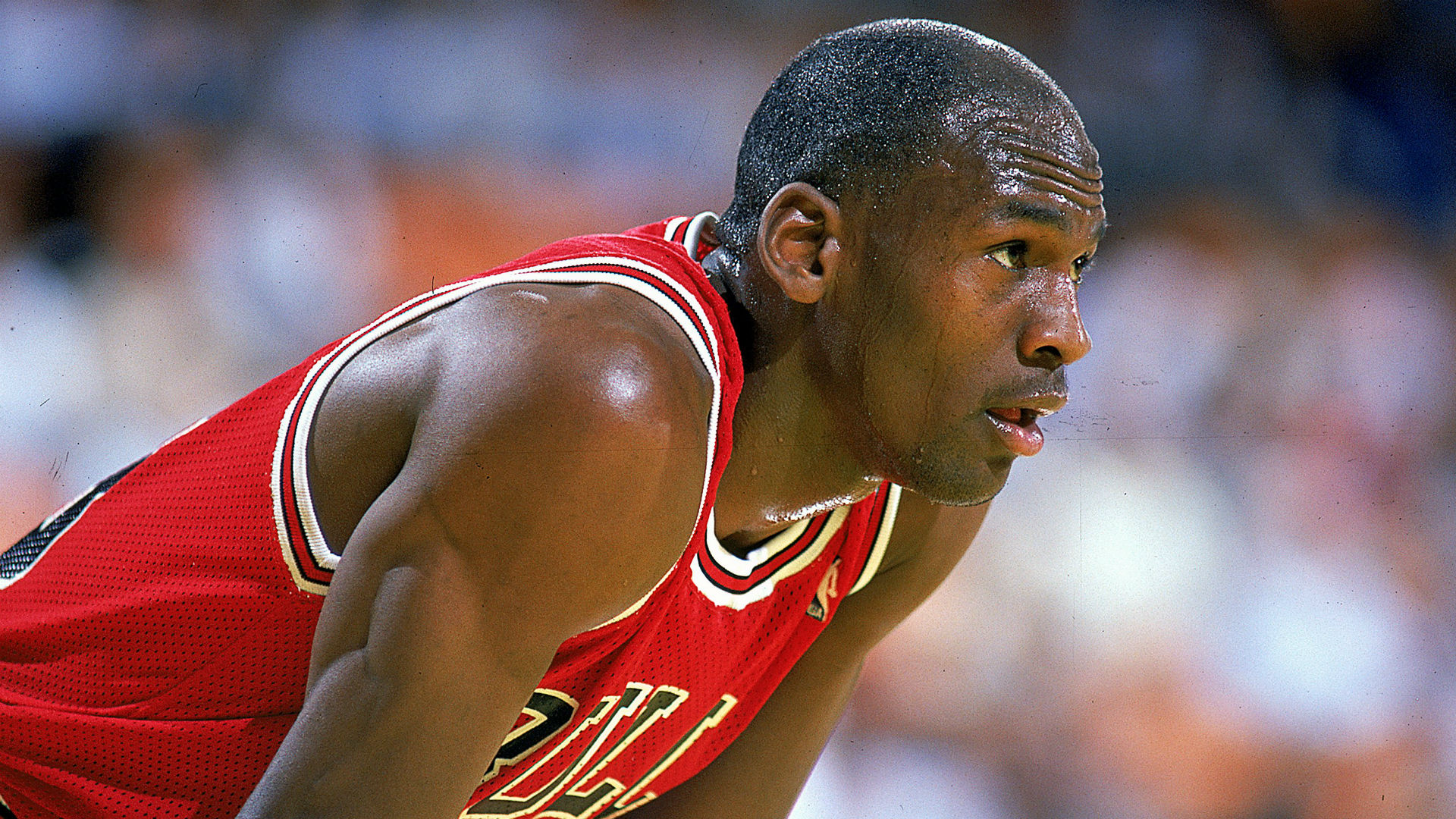 Had Michael Jordan and 'The Last Dance' Bulls been granted an encore ...