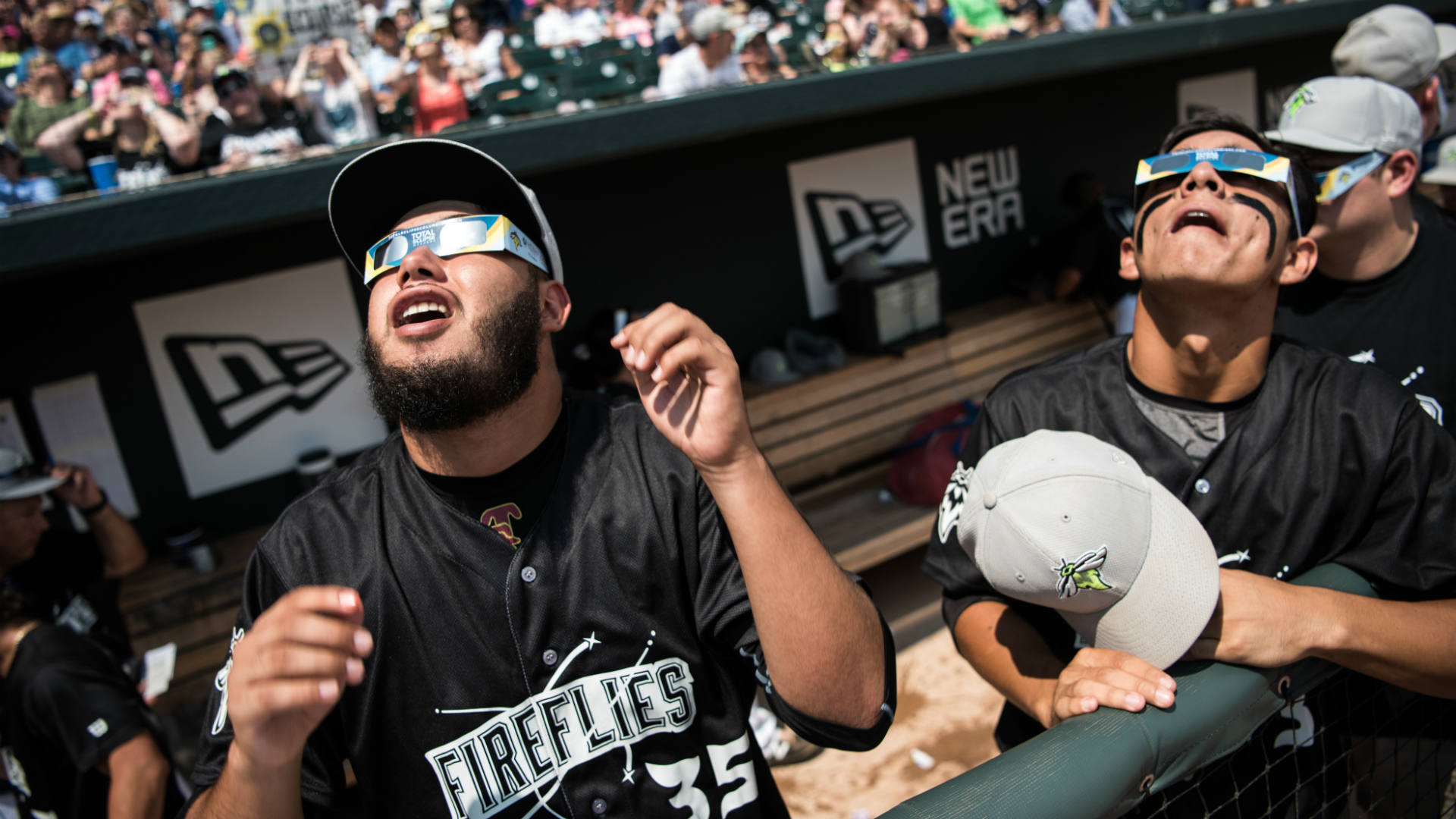 'Total Eclipse of the Park' provides unforgettable afternoon of minor ...